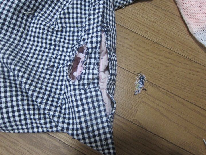 結構やってくれてる。 : うさぎのきた道