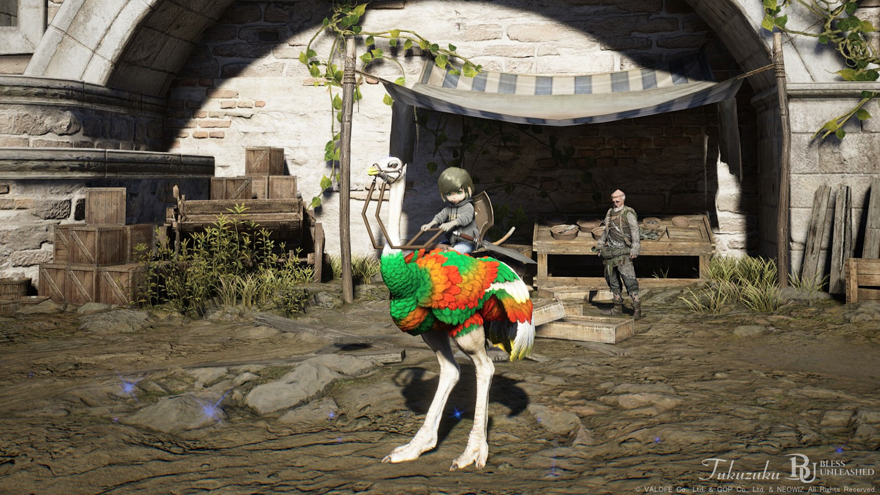 【BLESS U】パーカーとトロピカルダチョウ : Valkyrie