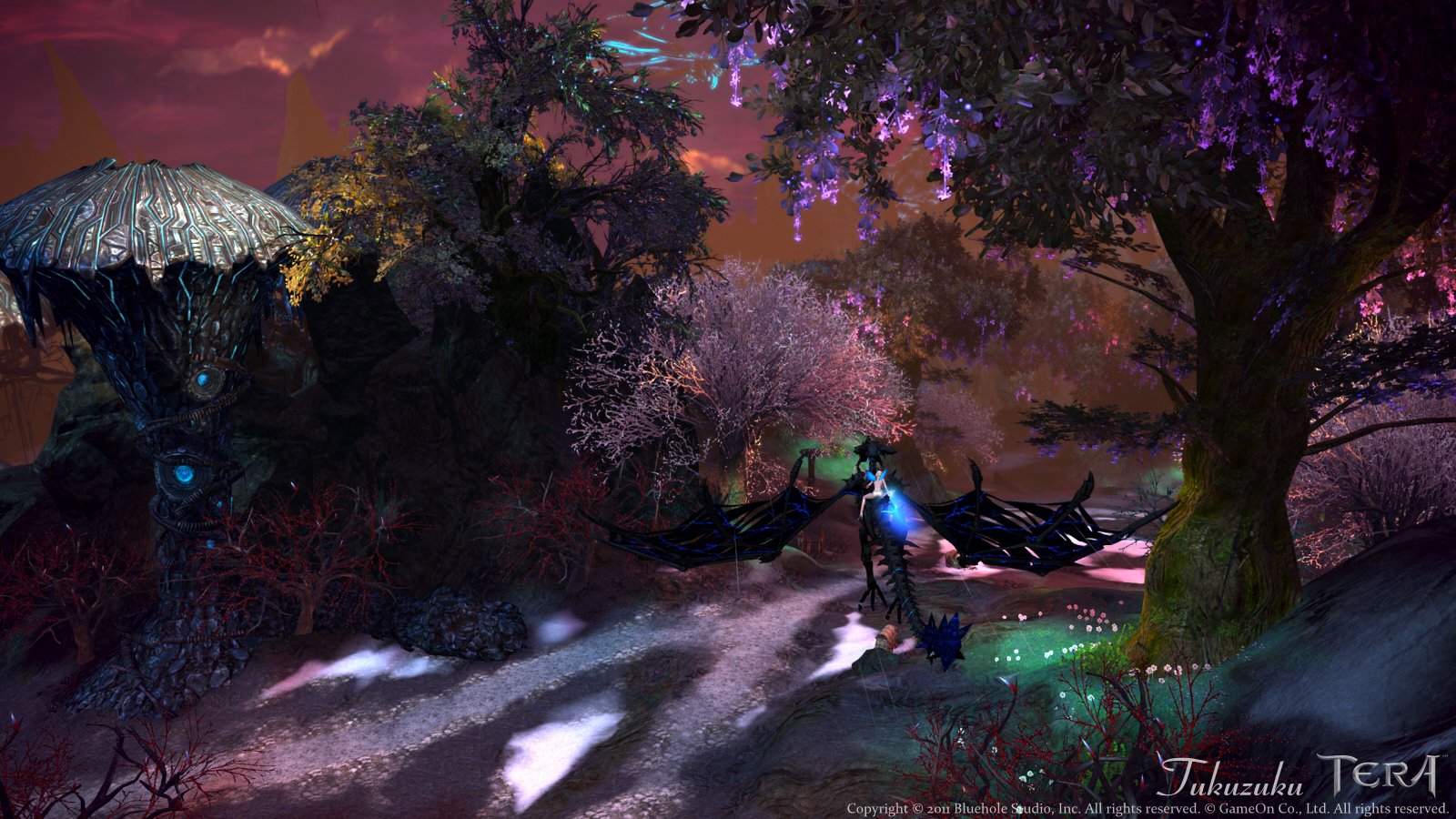 【TERA】ScreenShotsと裏世界 : Valkyrie