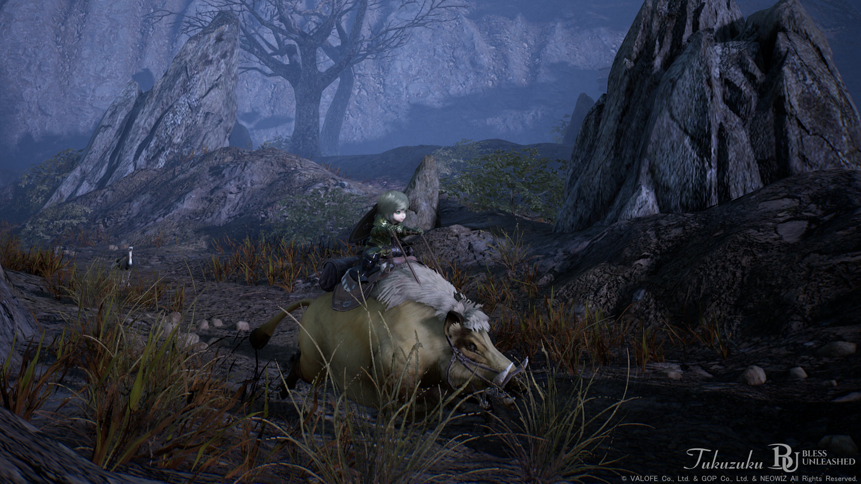 【BLESS U】撮ったもの色々 : Valkyrie