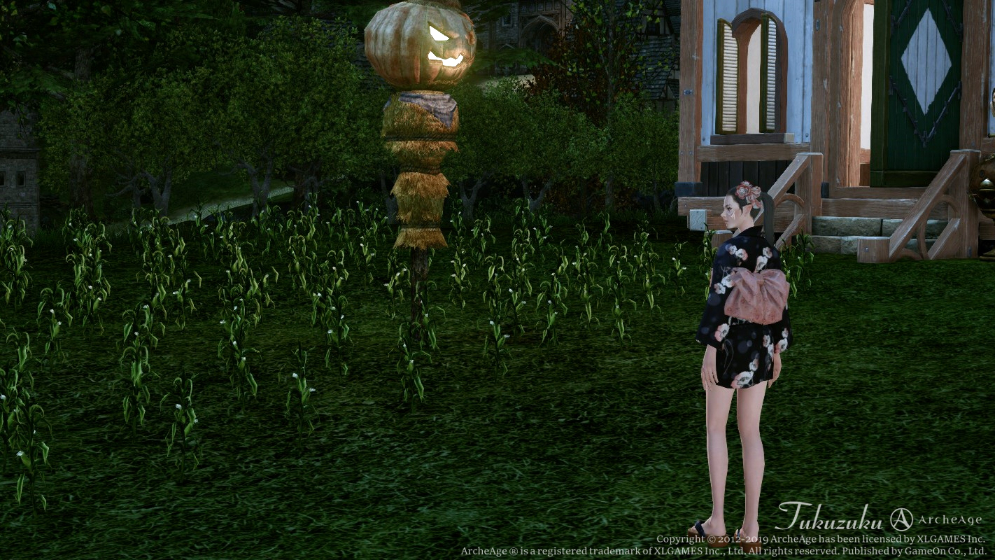 【ArcheAge】ScreenShots : Valkyrie