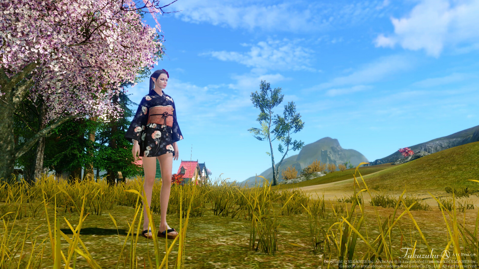 【ArcheAge】9周年記念特別生放送、と住宅地 : Valkyrie
