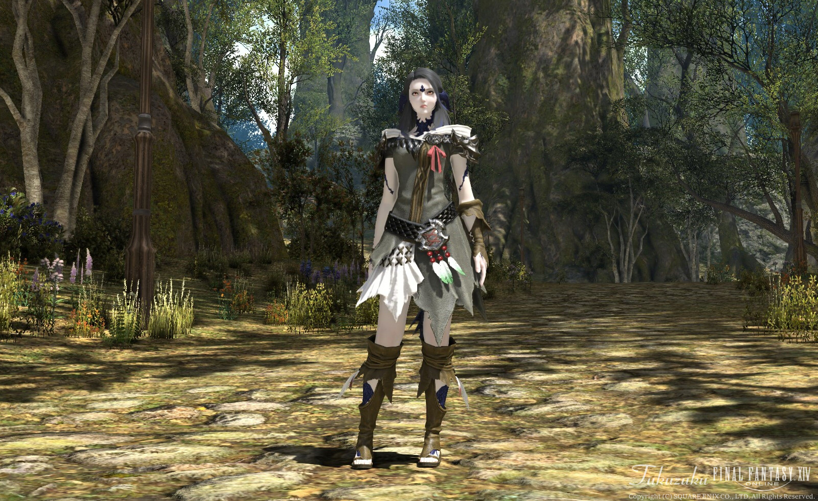 【FF14】黄金のレガシー ベンチマーク : Valkyrie