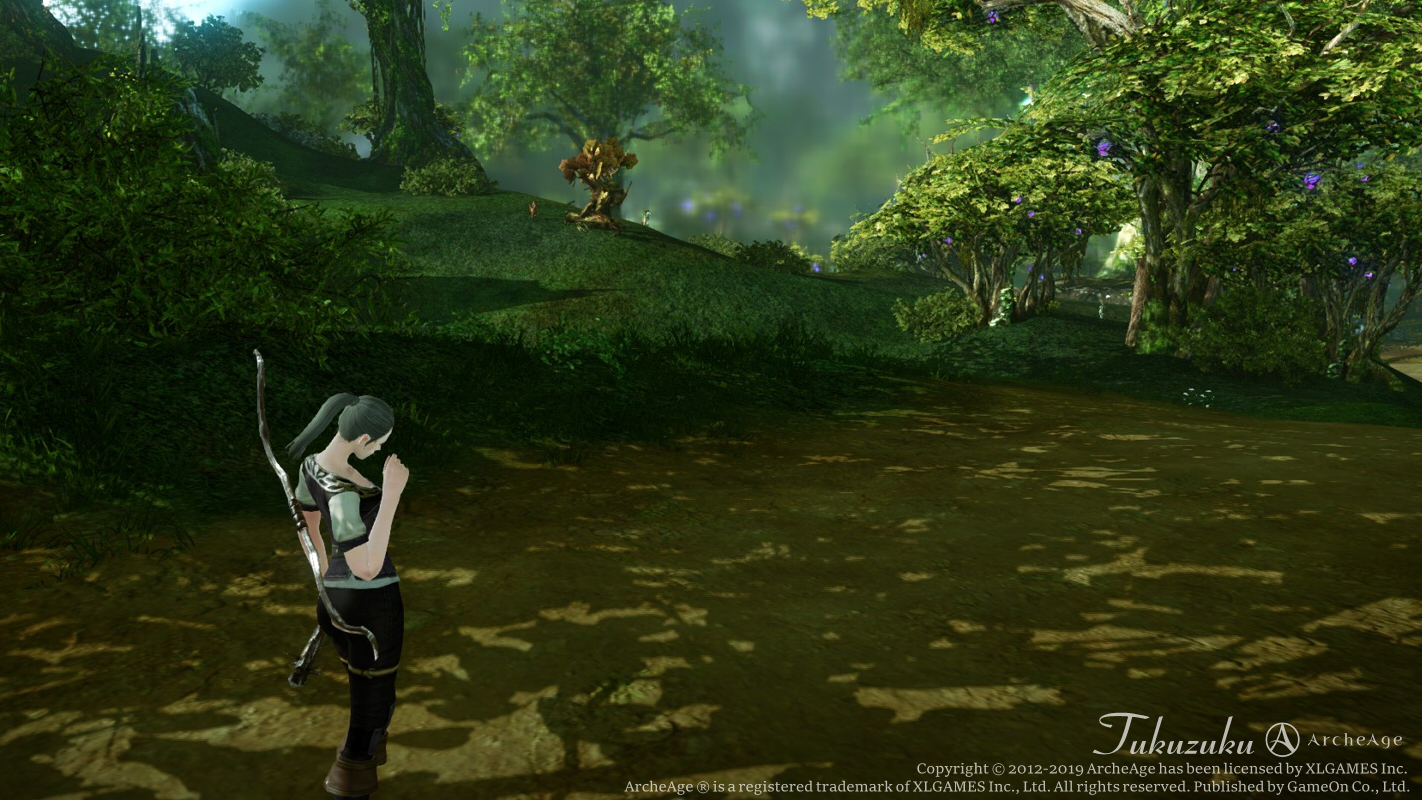 ArcheAge再び : Valkyrie