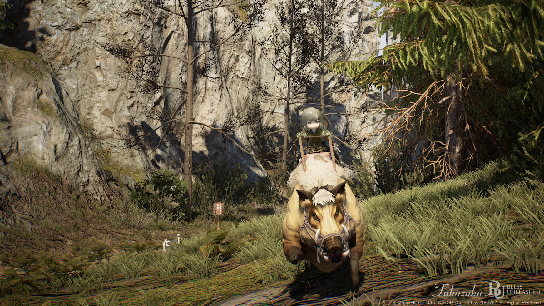 【BLESS U】撮ったもの色々 : Valkyrie