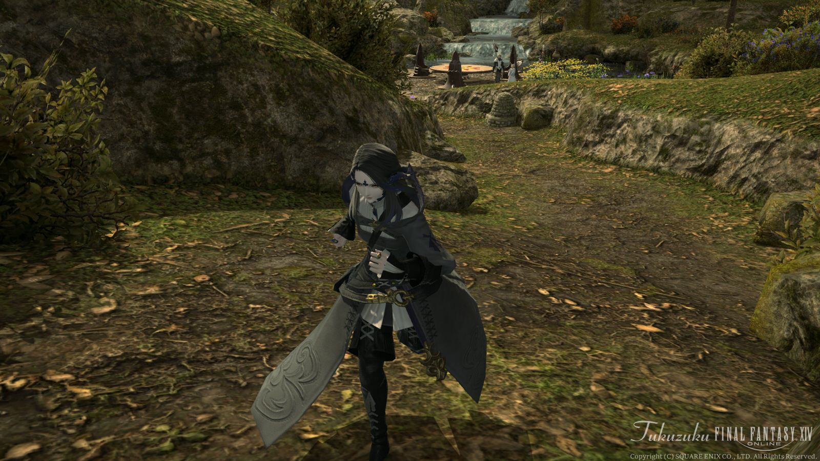 BLESS Unleashed CBTと【FF14】 : Valkyrie