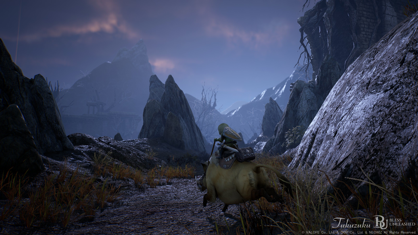 【BLESS U】撮ったもの色々 : Valkyrie