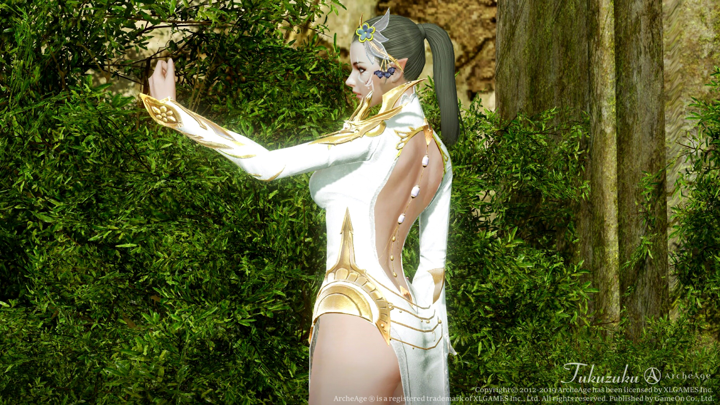 【ArcheAge】ロータスドレスと、3羽目のグリフォン : Valkyrie