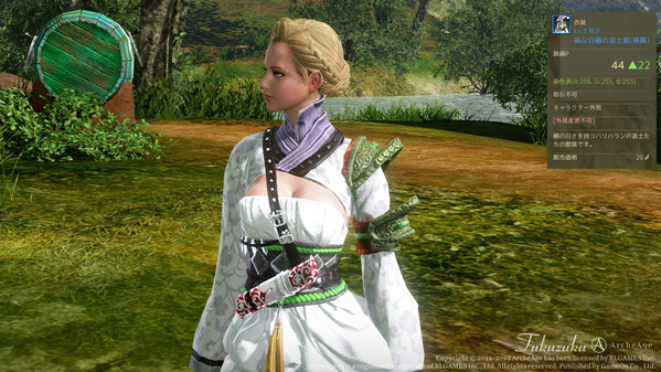 【ArcheAge】60回ガチャの終わり : Valkyrie