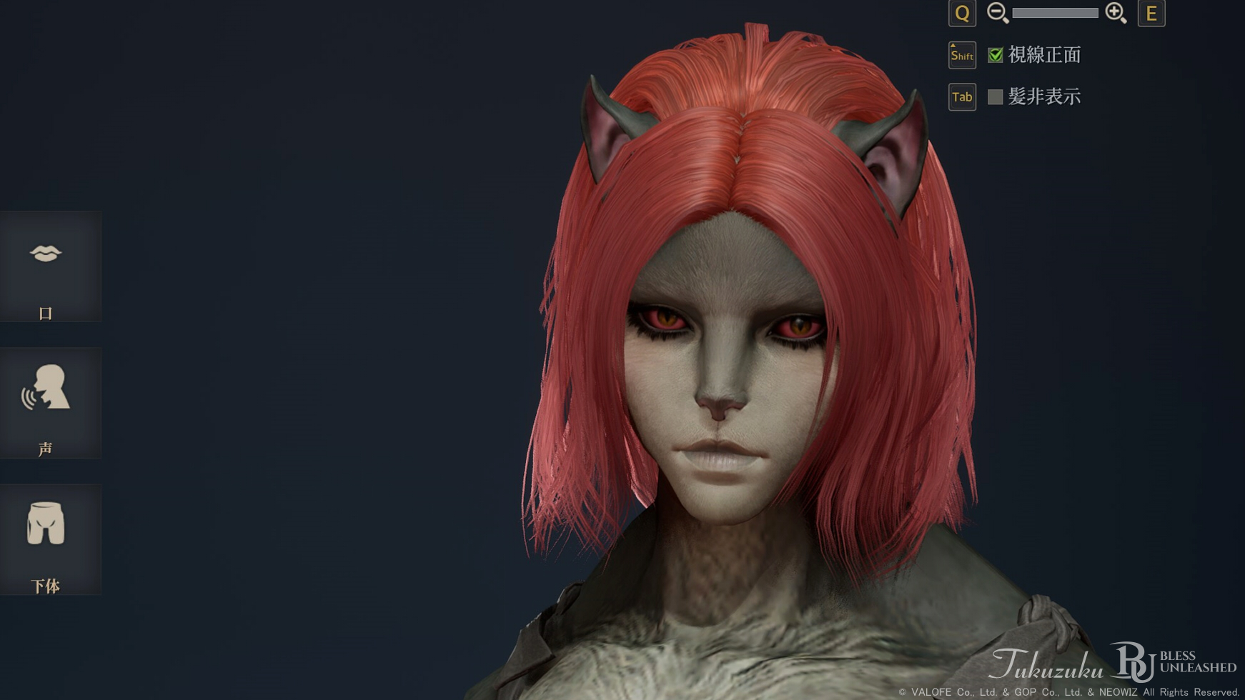 【BLESS UNLEASHED】キャラ3体（追記あり） : Valkyrie