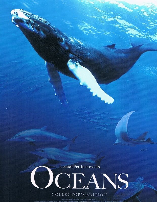 BBC EARTH「DEEP BLUE」｢earth｣｢OCEANS｣DVDの購入 : HIROの多肉園芸日記＆その他いろいろ2