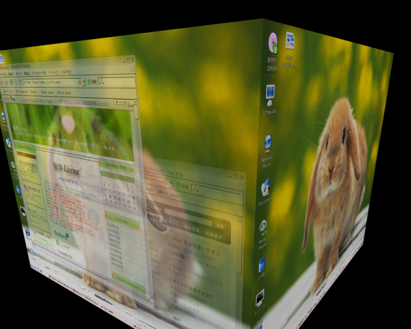 独学Linux : Berry Linuxで3Dデスクトップ！