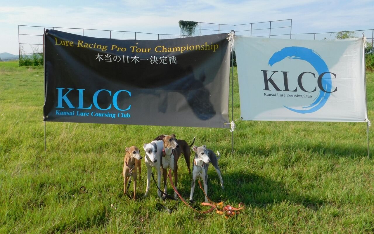 KLCC Lure Racing Pro Tour Championship 〜本当の日本一決勝戦〜(第七戦)に参加する その② : イタグレ ...