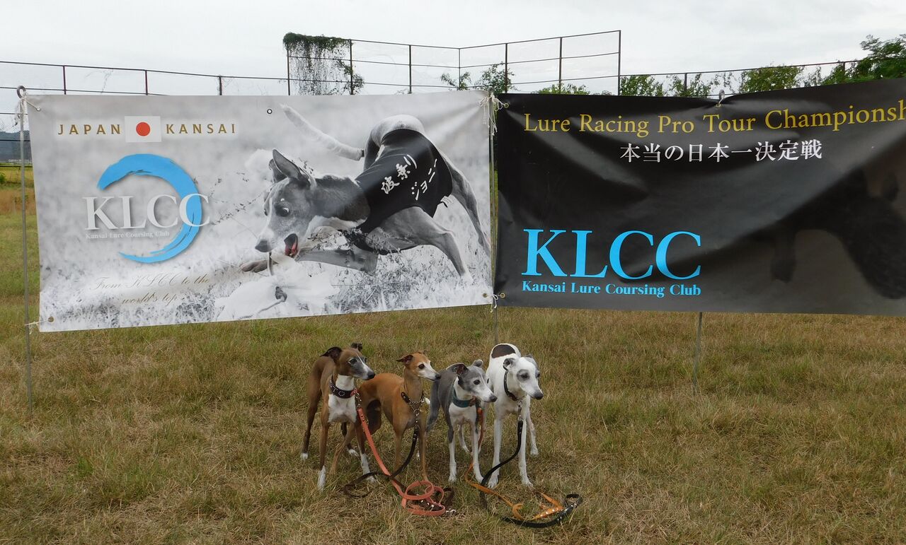 KLCC Lure Racing Pro Tour Championship 〜本当の日本一決定戦〜(第四戦)に参加する その③ : イタグレ ...