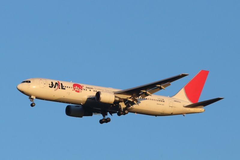 2014総集編 : 昼の飯より亀の甲