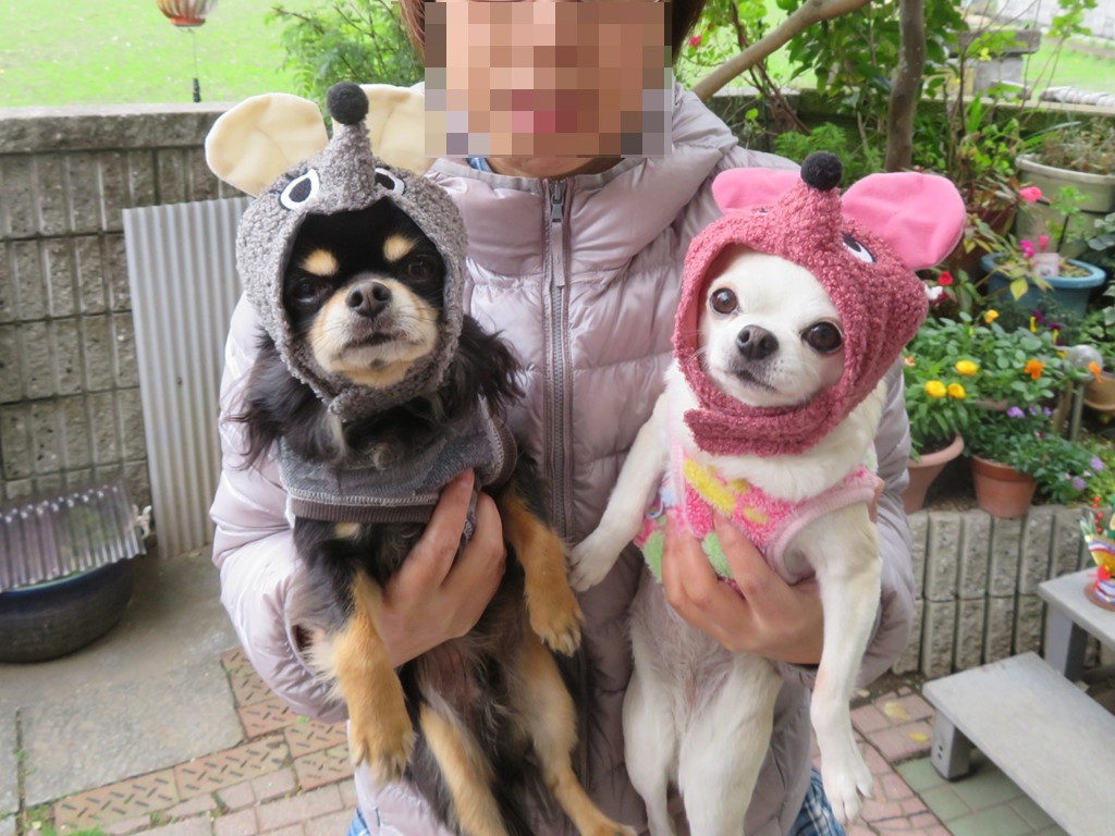 無題 - livedoor Blog（ブログ）