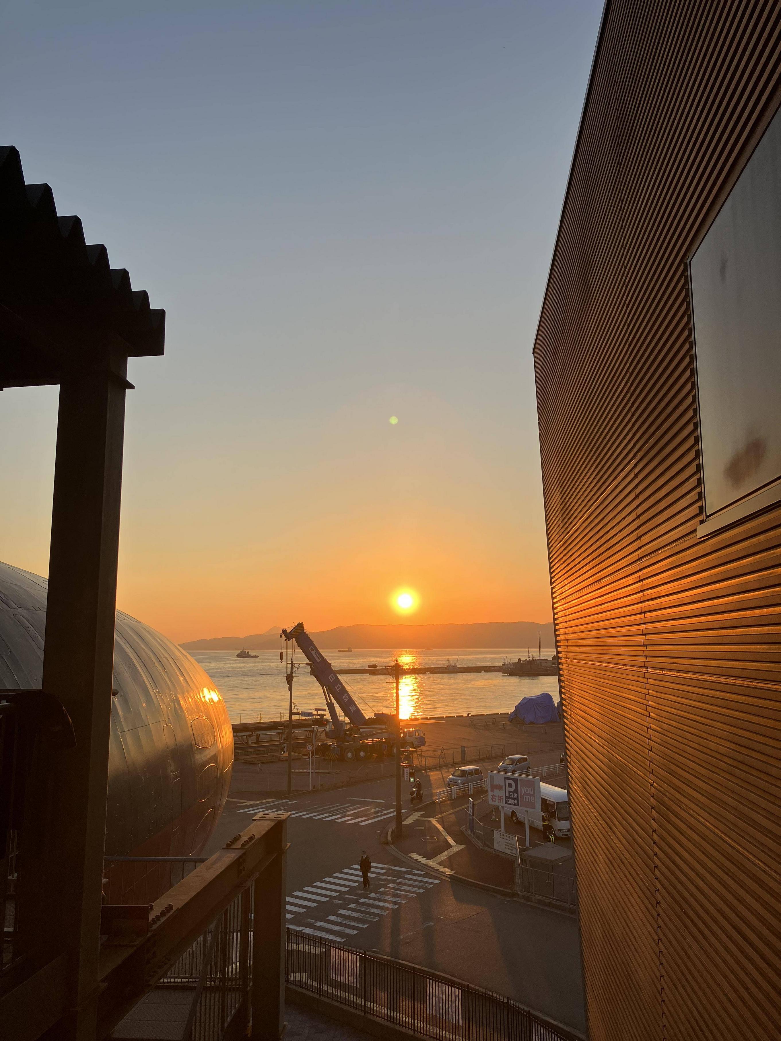 わいわい館 : ワイちゃん、6泊7日の旅行最後の夜を迎える