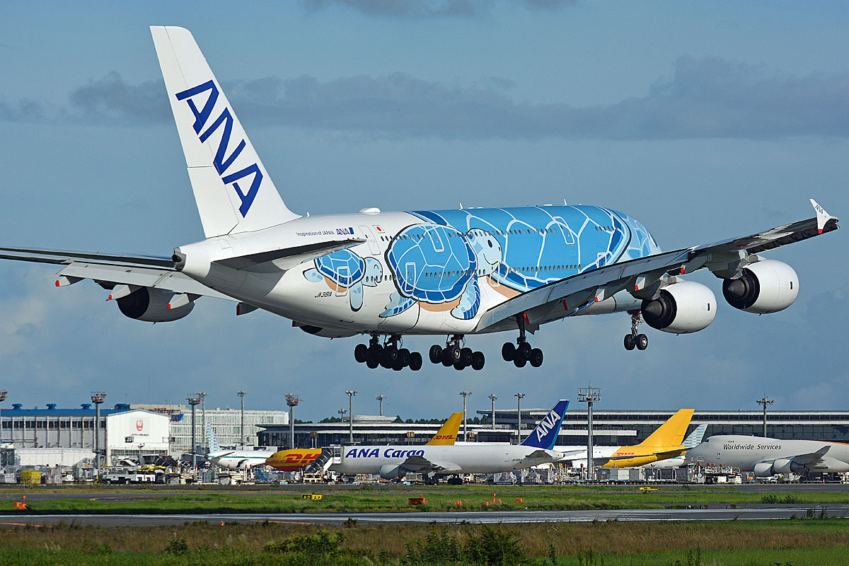 ANA A380 3機ゲット（9月11日） : Airplane and Weather Diary
