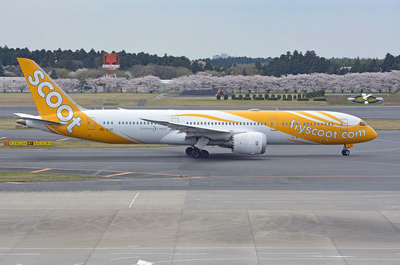 B787-9 Scoot @RJAA : Airplane and Weather Diary