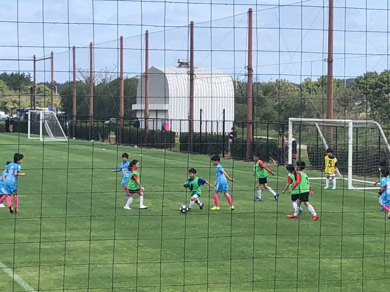 和白ジュニアフットボールクラブ（旧和白少年サッカークラブ）WJFC : キッズフェスティバル