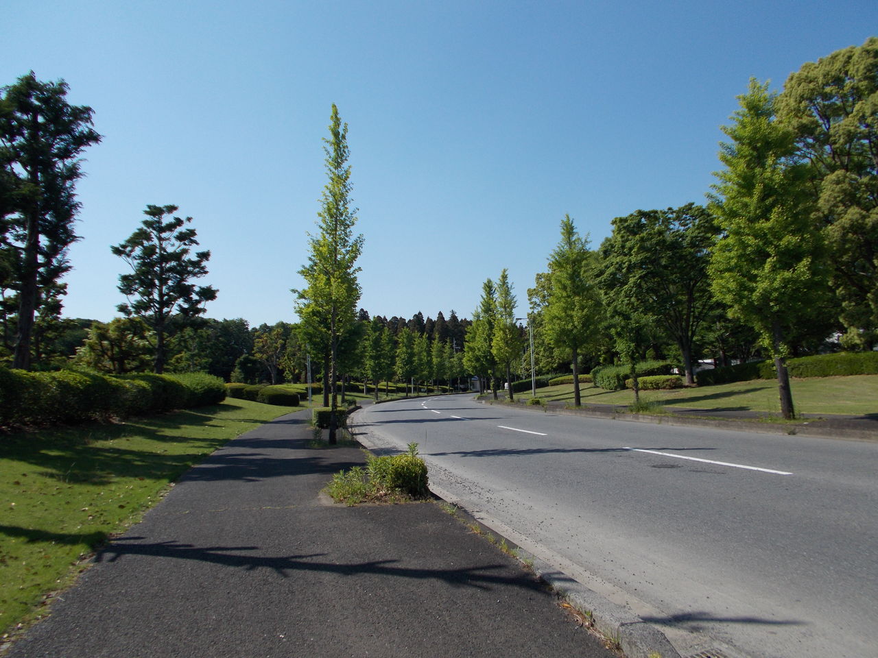 つくばの科学万博記念公園へ行った : wnc develop 記録