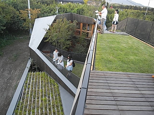 久々のトラさんぽ : 日々の日記帳