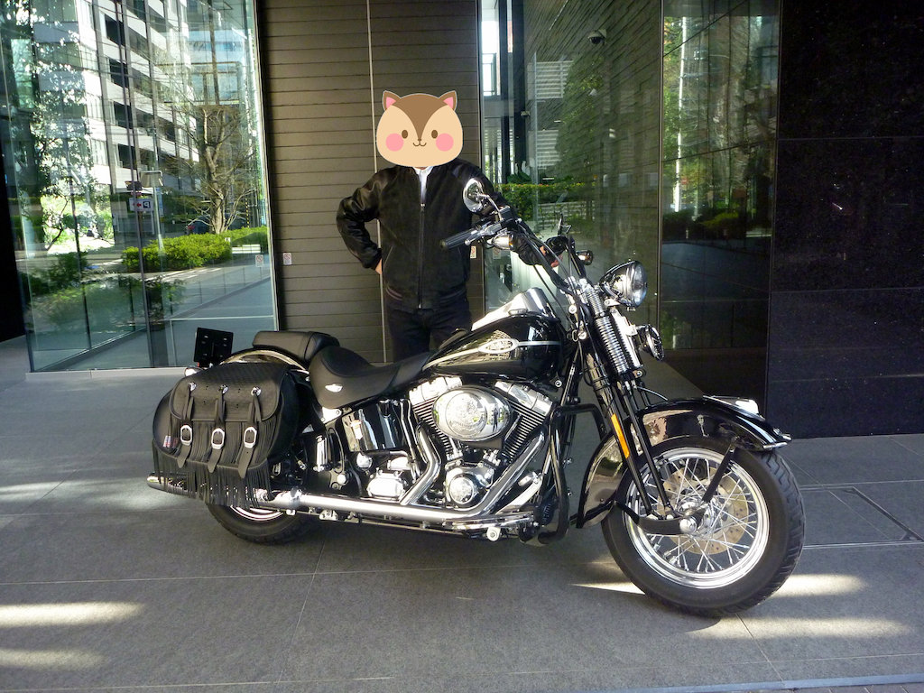 FLSTSC スプリンガークラシックご納車です！ : HARLEY-DAVIDSON SAKURAI BLOG （旧称：ワークスサクライ）