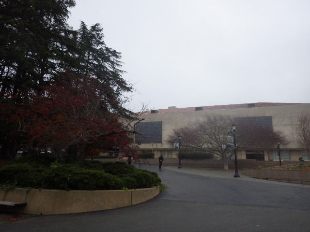 Campus Scenery of Boalt Hall (Jan.10, 2018) : Lucky の世界遺産ブログ｜アメリカの国立公園 ...