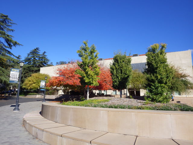 Campus Scenery of Boalt Hall (Nov.17, 2017) : Lucky の世界遺産ブログ｜アメリカの国立公園 ...