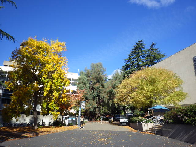 Campus Scenery of Boalt Hall (Nov.27, 2017) : Lucky の世界遺産ブログ｜アメリカの国立公園 ...