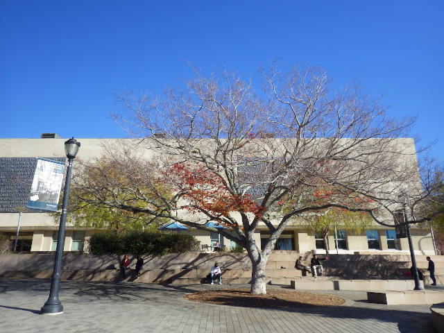 Campus Scenery of Boalt Hall (Dec.6, 2017) : Lucky の世界遺産ブログ｜アメリカの国立公園 ...