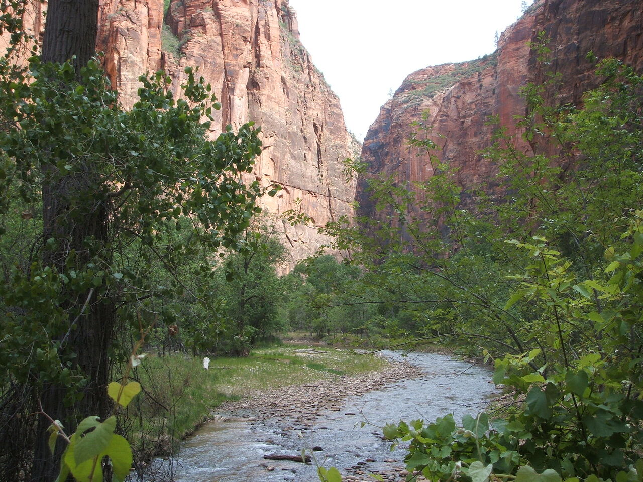 【壮観なザイオン渓谷を体感できる】ザイオン国立公園 (Zion National Park) (2007年5月22日〜23日) : Lucky ...