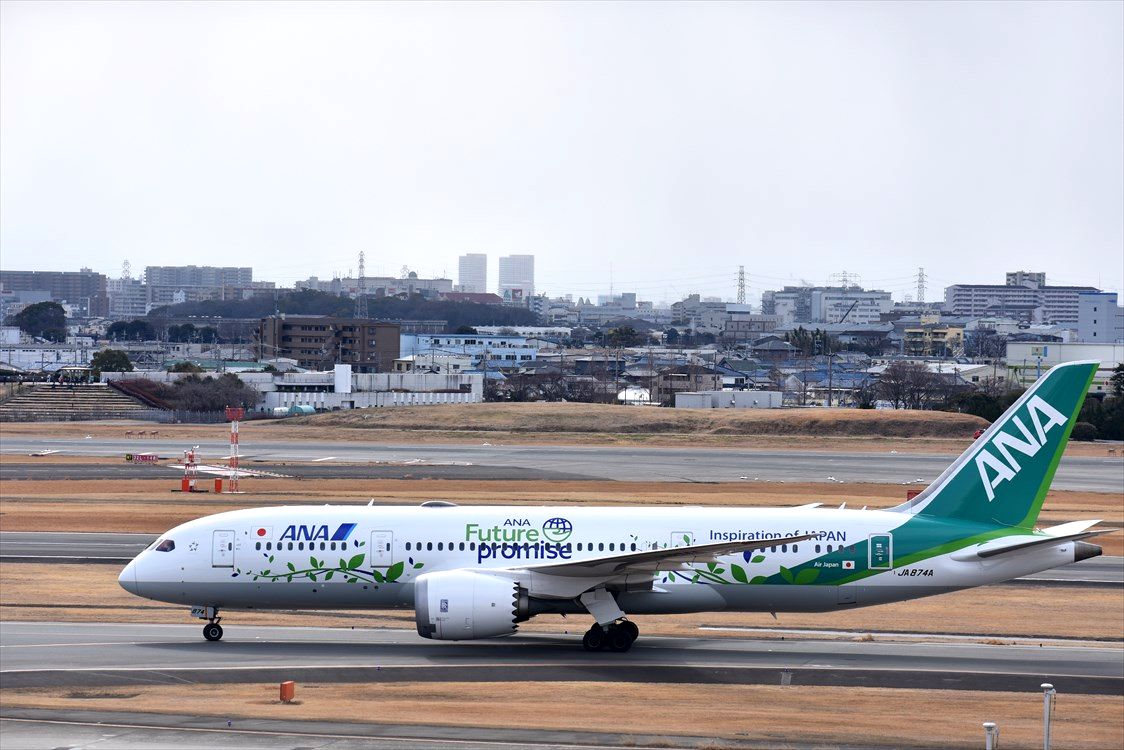 ANA Green jet（ANA） : ad-car's ラッピングデス