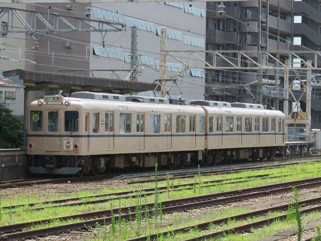 センロク復刻塗装（養老鉄道） Ad Cars ラッピングデス 7739