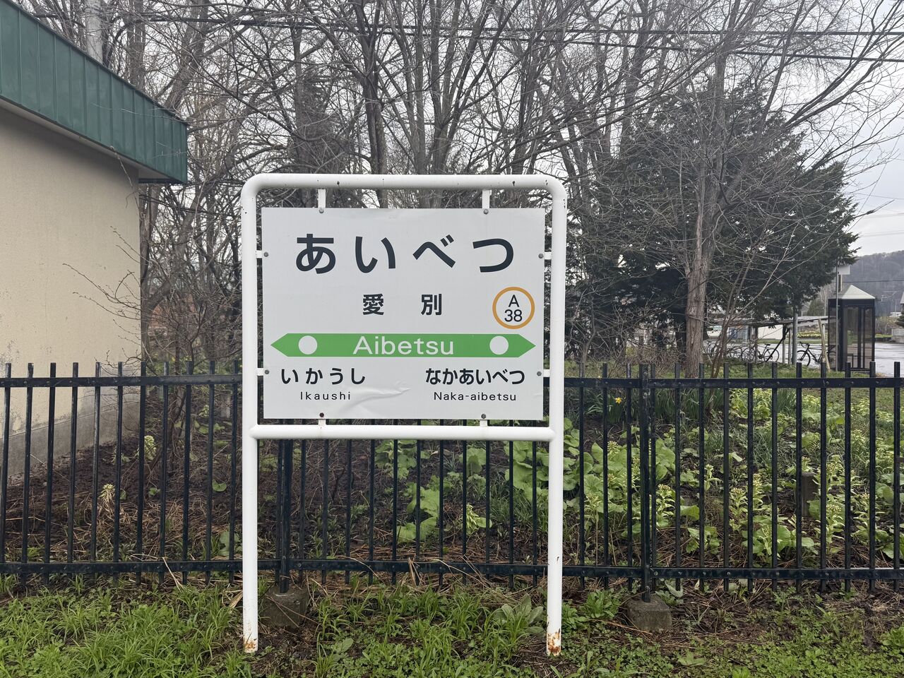 アスパラの成長と天候 : チーム森田の“天気で斬る！”
