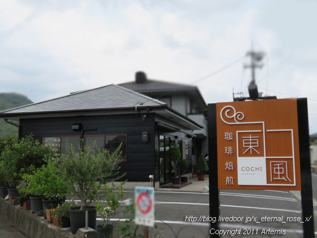 新オープン 珈琲焙煎 東風 COCHI COFFEE （コチコーヒー）東風ブレンド 抹茶シフォンケーキセット : Eternal Rose ...