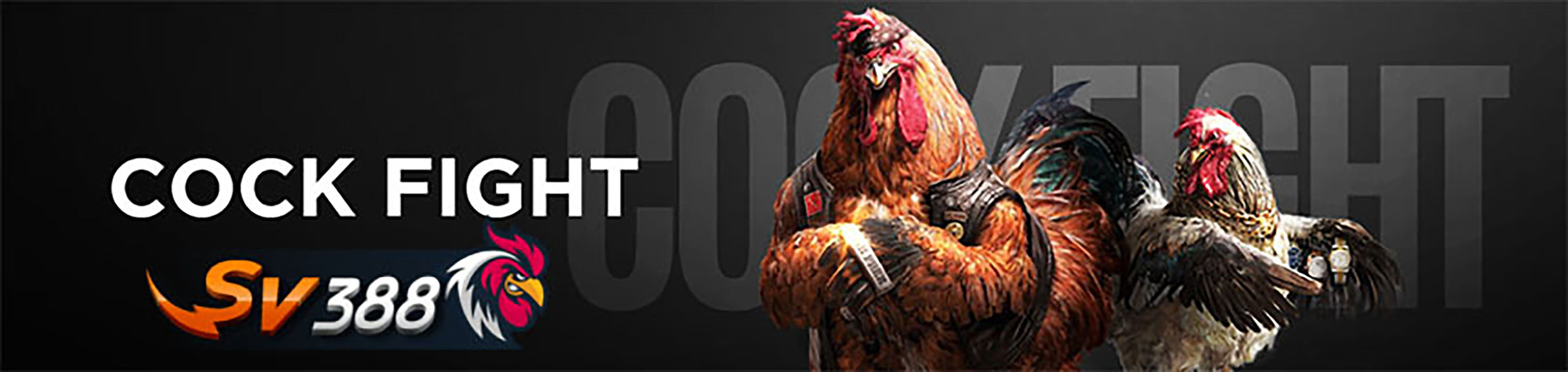 Sv388 - Link vào đá gà trực tiếp tại sv388v.com