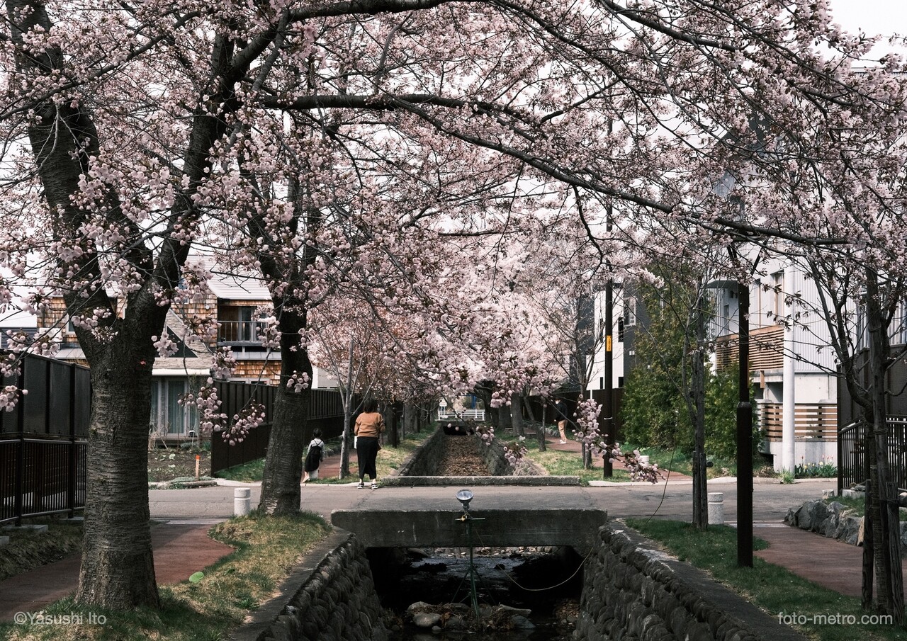 写真都市 : 24.12.27 All Things Must Pass (Gunsei Vol.11) 8/10