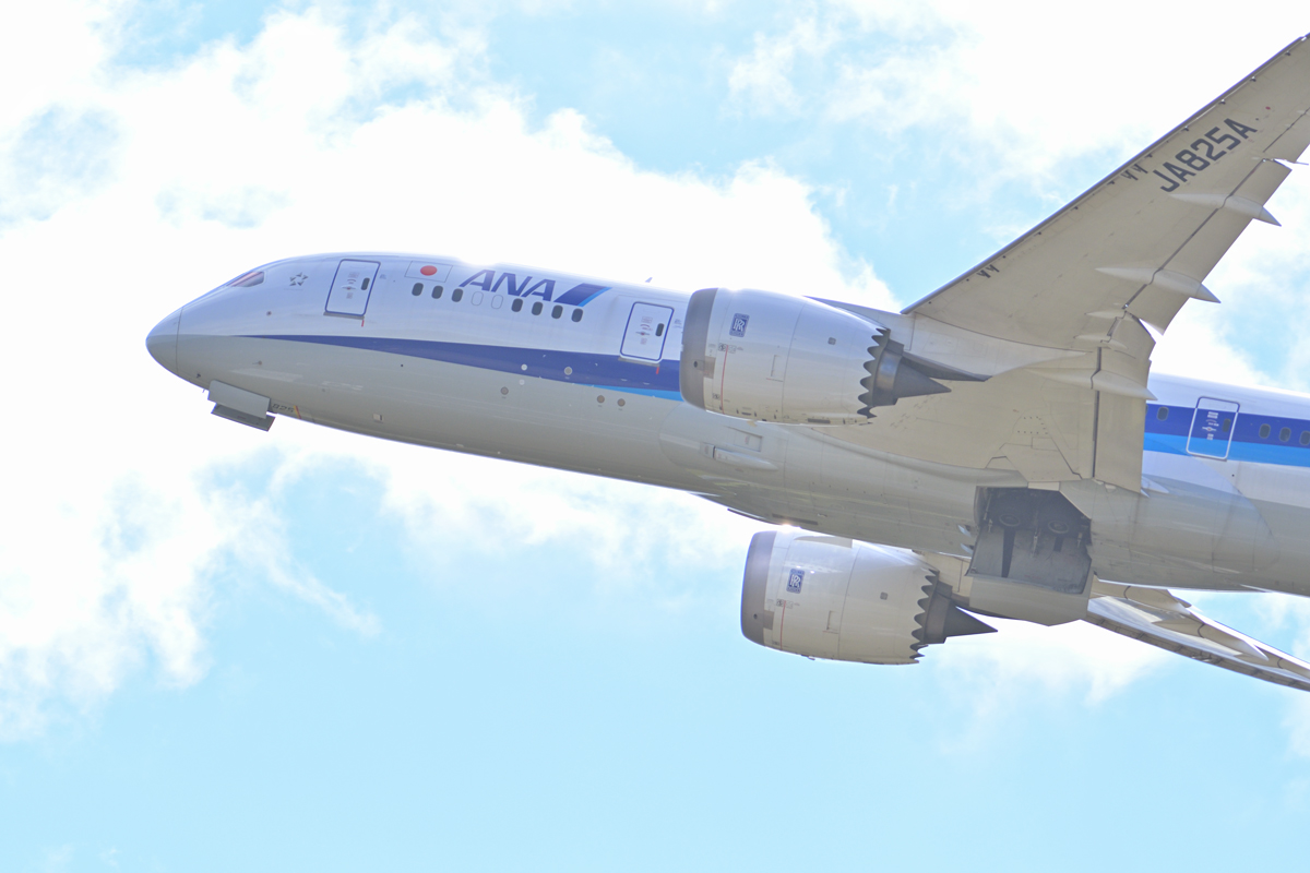 2022年10月18日 岡山空港 久しぶりのB787 : Yasの写真保存庫