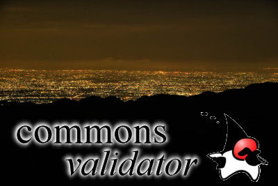 今さらcommonsのValidator : Javaありがたや