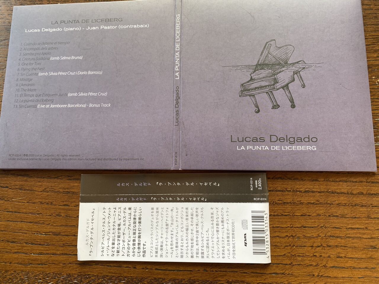 Lucas Delgado / La Punta De L’iceberg (2020) : yodel14の音の図書館