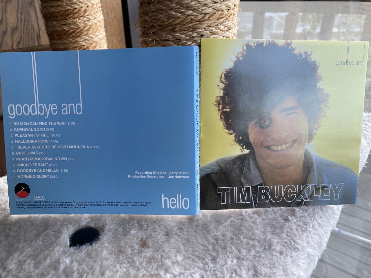Tim Buckley / Goodbye and Hello (1967) : yodel14の音の図書館