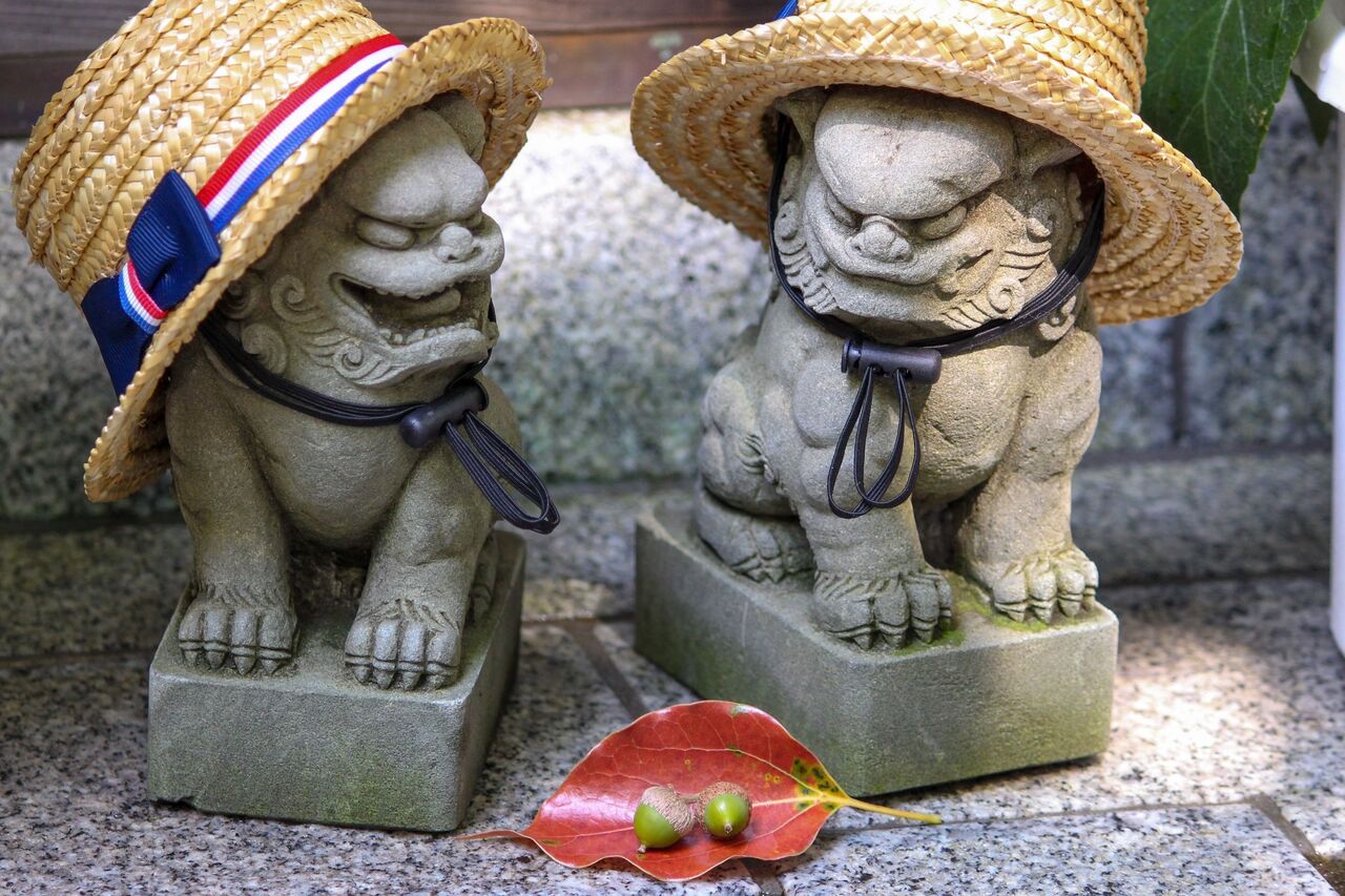 地球の為に「今」私達の出来ること : 🌸🌸 よろこび企画 ゆめの舞 🌸🌸