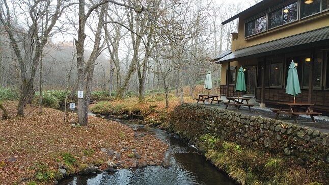 信州紅葉のファミリー珍道中！！＜その8＞究極のパワースポット「戸隠神社奥社」 : よなのたびはくねくね2