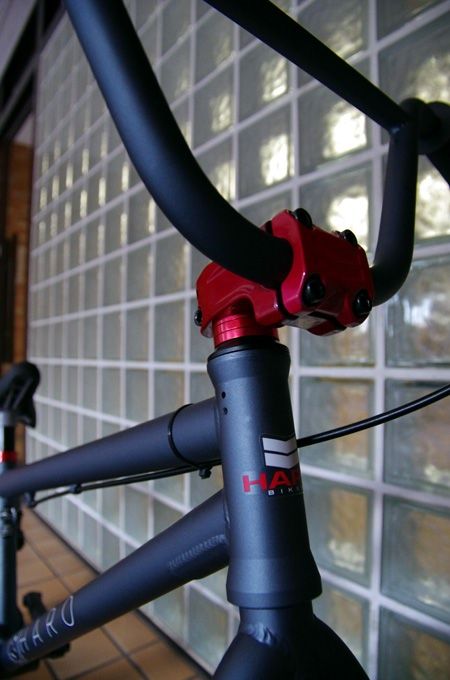 PIT TSURUOKA 通信 : 2013 HARO "350.1"