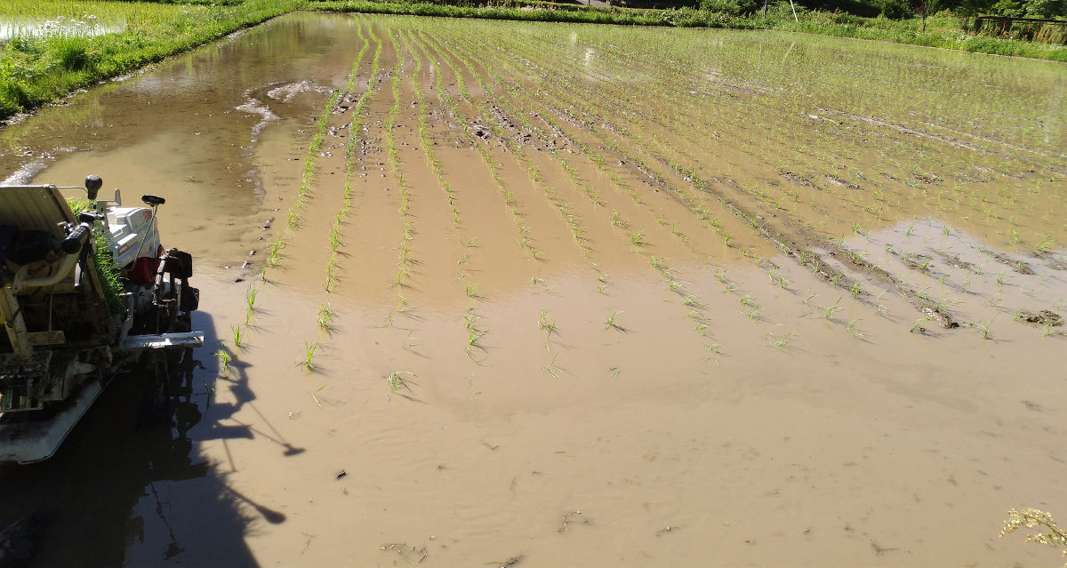 2018上半期 ～new challenge～ : https://yosusu.livedoor.blog