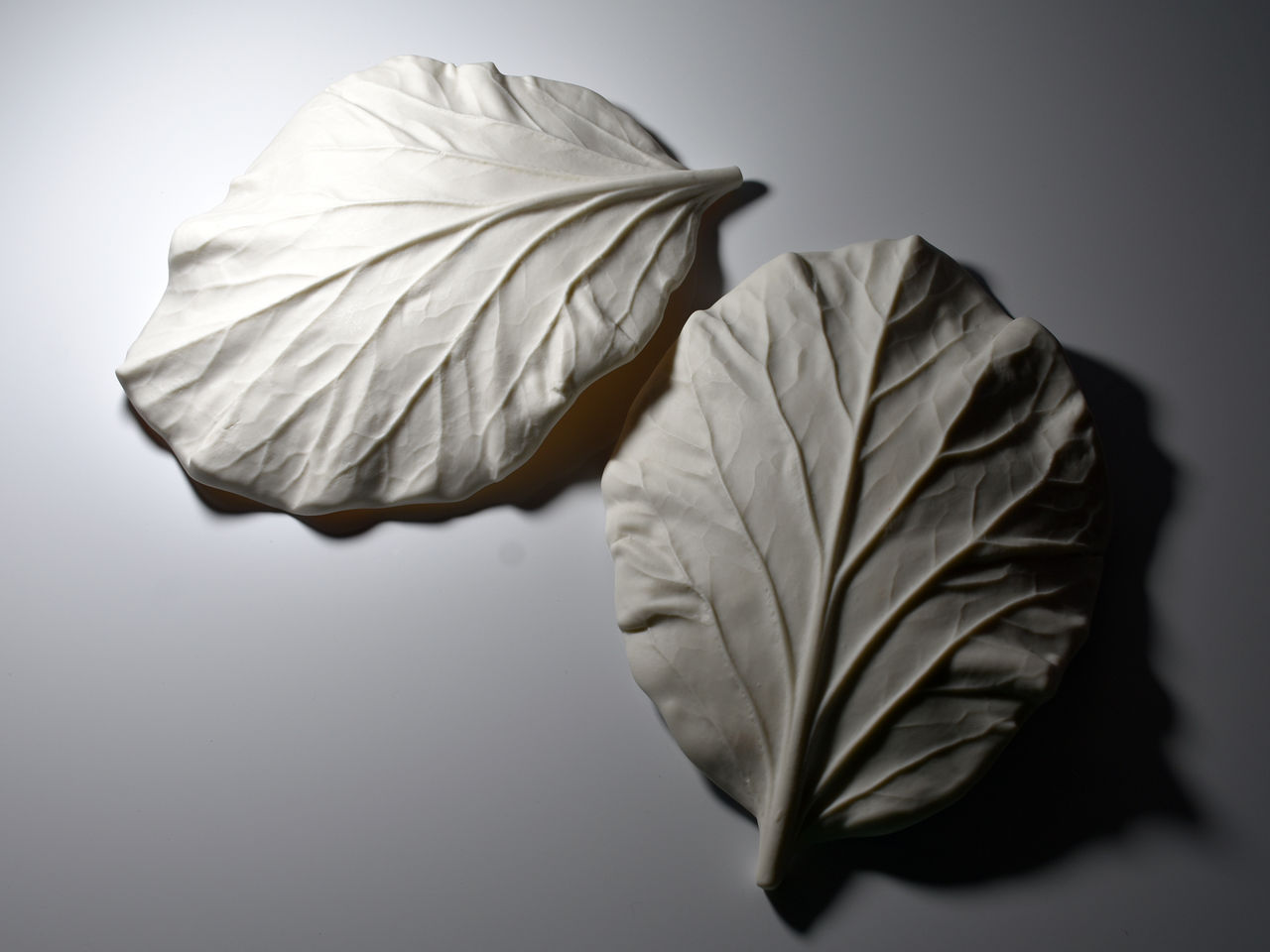 moca leaf (b) : 悠遊舎ぎゃらりぃ