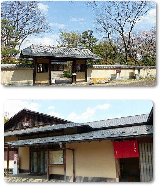 春爛漫！所沢航空記念公園② : youko2のブログ