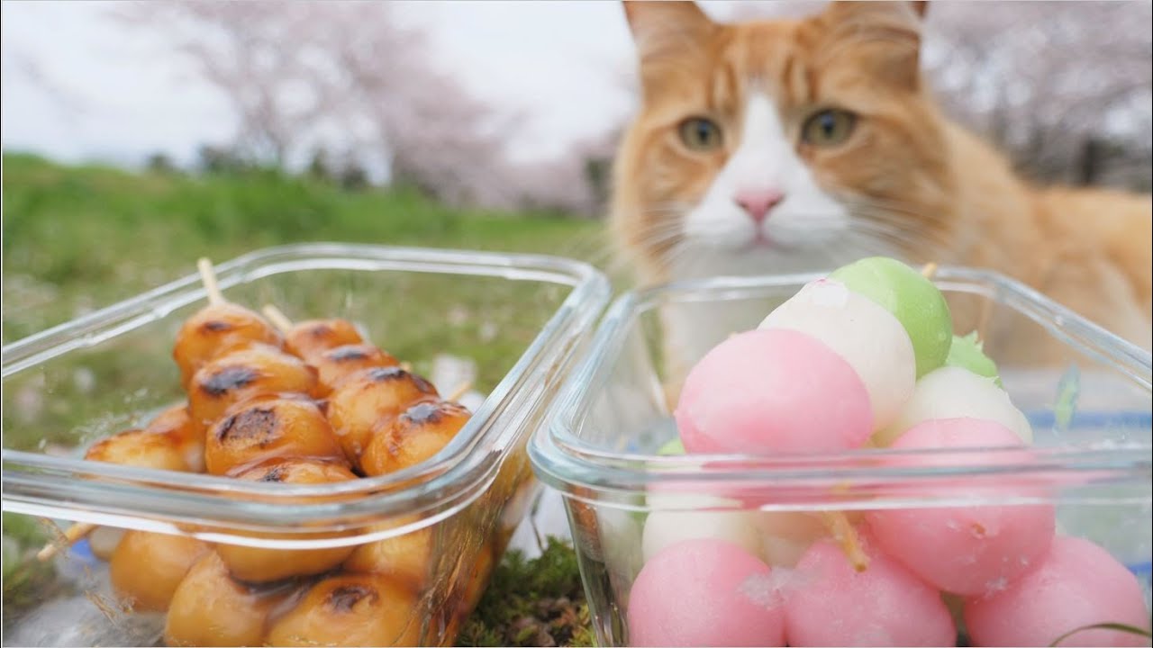 【JunsKitchen】Homemade Japanese Dumplings （Dango） : YouTuberコメ速報