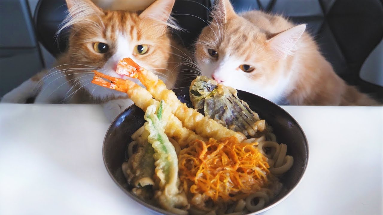 【JunsKitchen】Tempura Udon Noodles【サムネイル画像】 : YouTuberコメ速報
